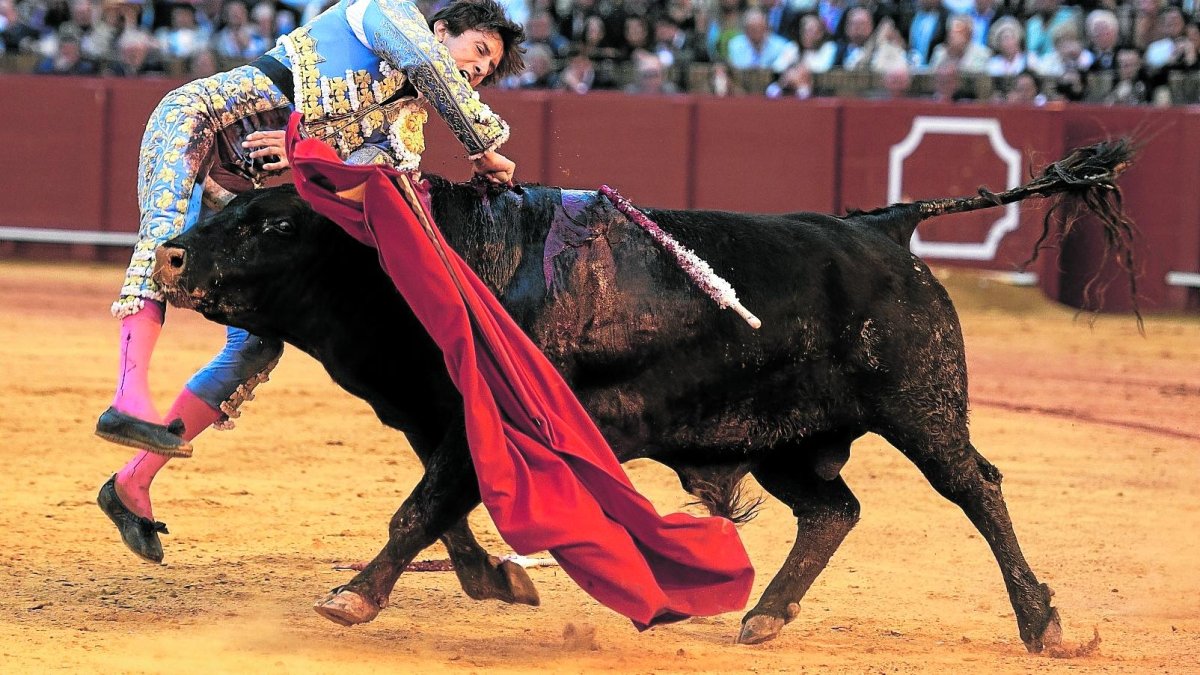 Y quién es Roca Rey, el torero peruano herido grave que las enamora a todas