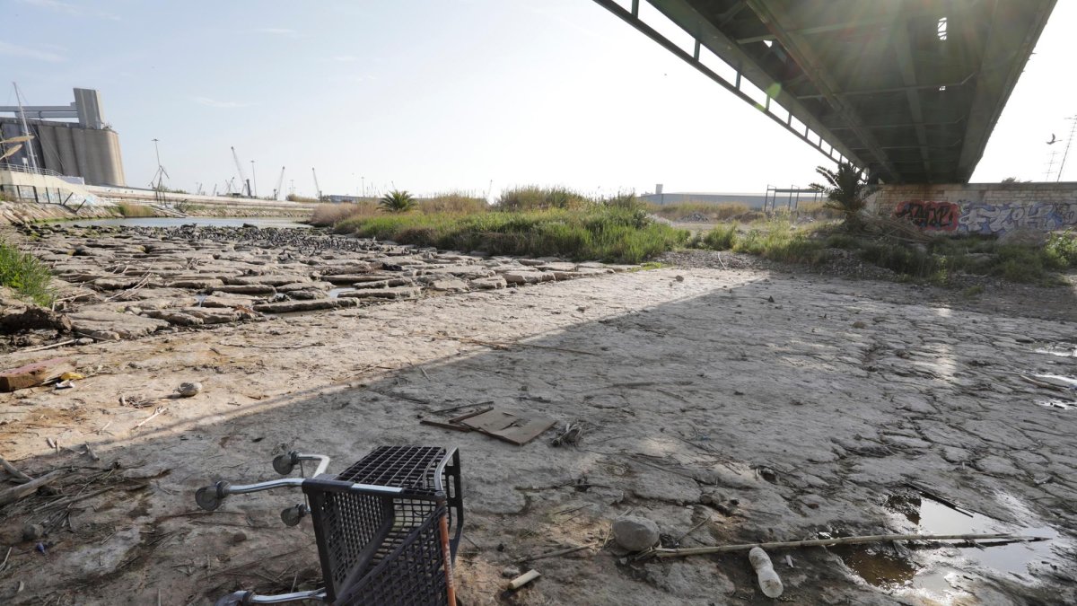 El río Francolí pide SOS