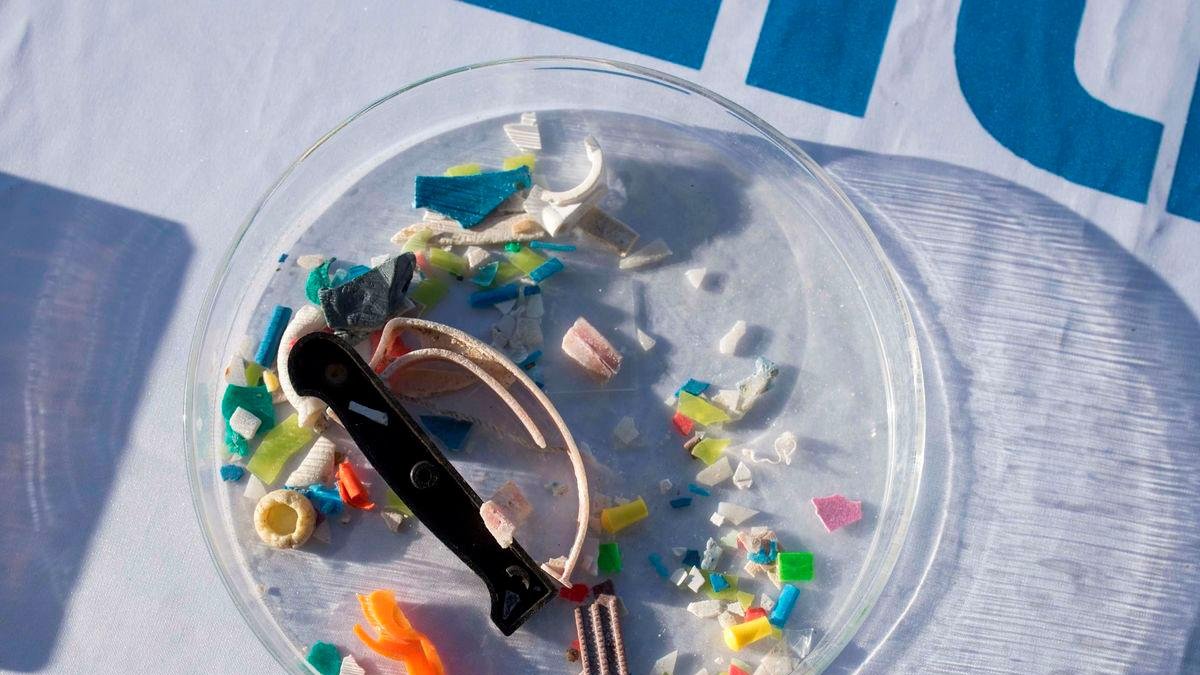 La alarmante cantidad de microplásticos que tragamos en una semana