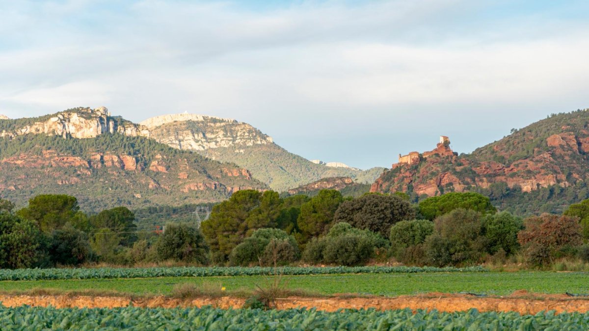 De ruta por Tarragona: El Mont-roig legendario, al descubierto