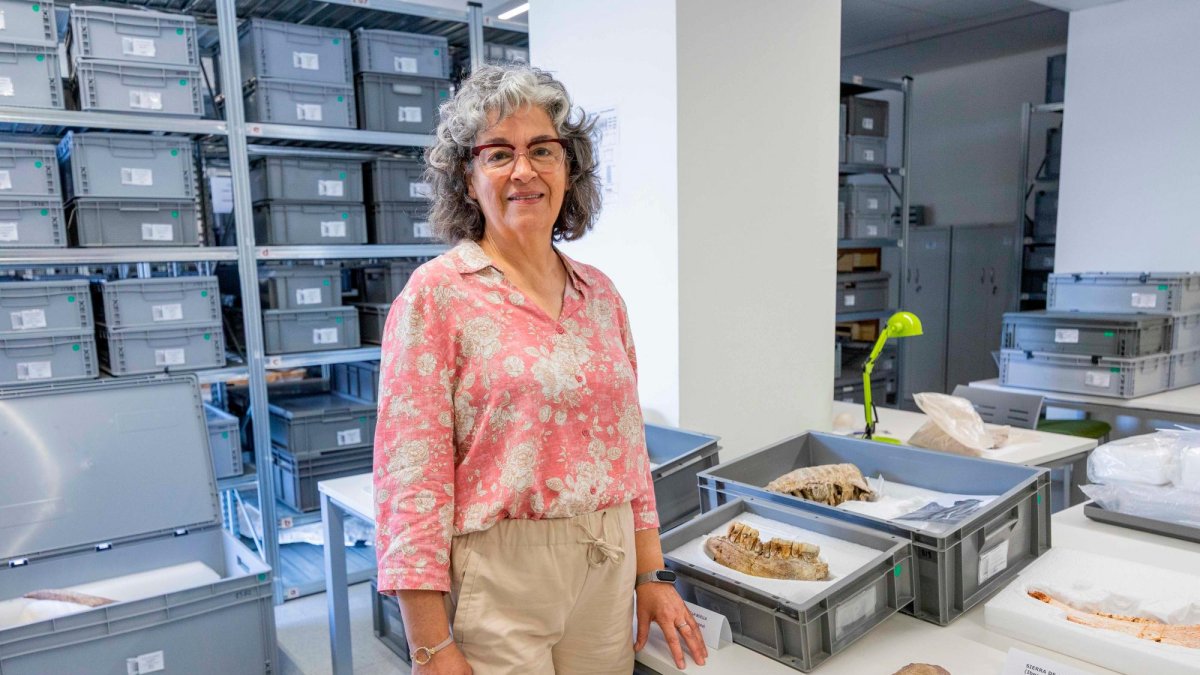 Maria Mosquera: «La arqueología es lo más bonito que hay, por la ...