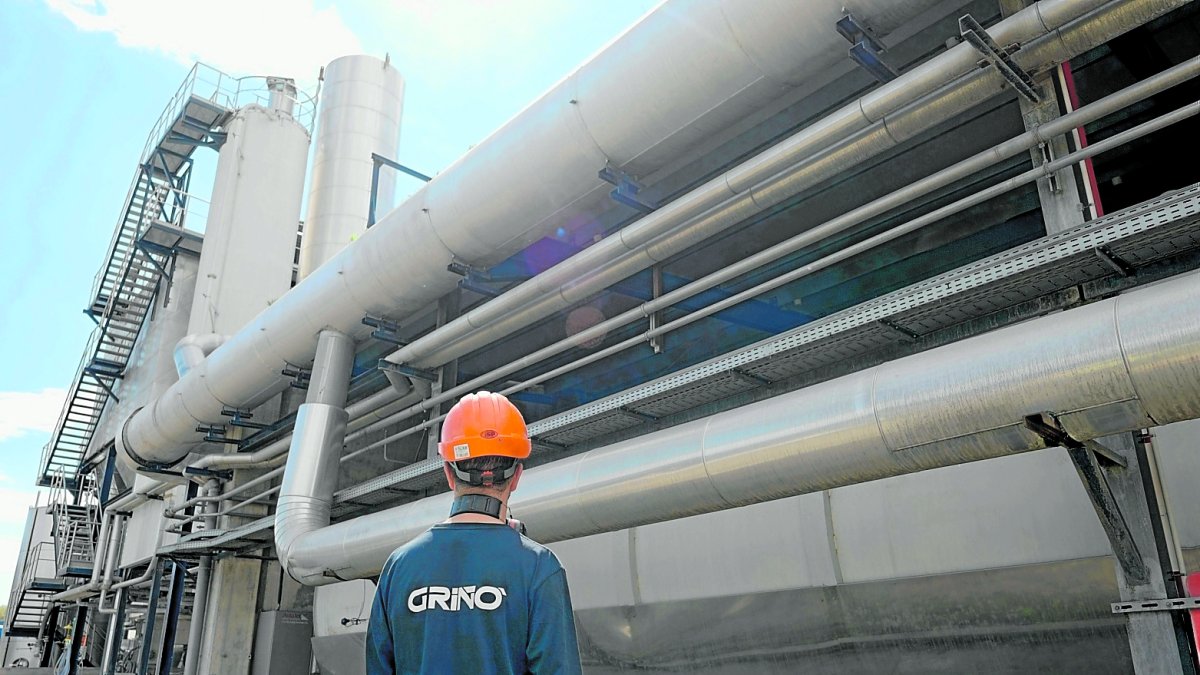 De residuo a recurso: la energía verde que impulsa Grupo Griñó