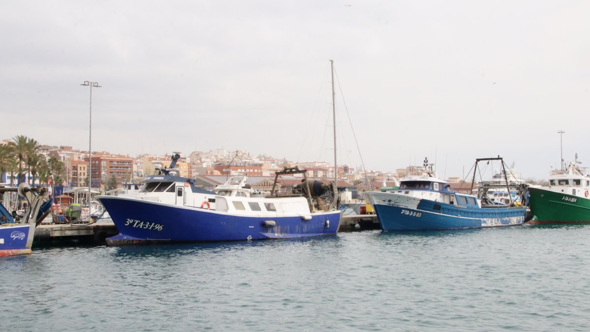 Tarragona fue el territorio donde más desechos marinos recogieron los ...