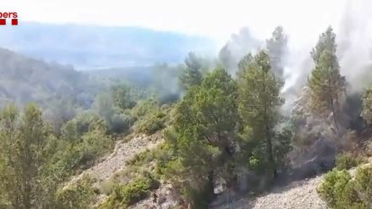Un incendio forestal corta una carretera en Riba-roja d'Ebre