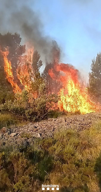 Un incendio forestal en La Sénia moviliza 22 dotaciones de bomberos