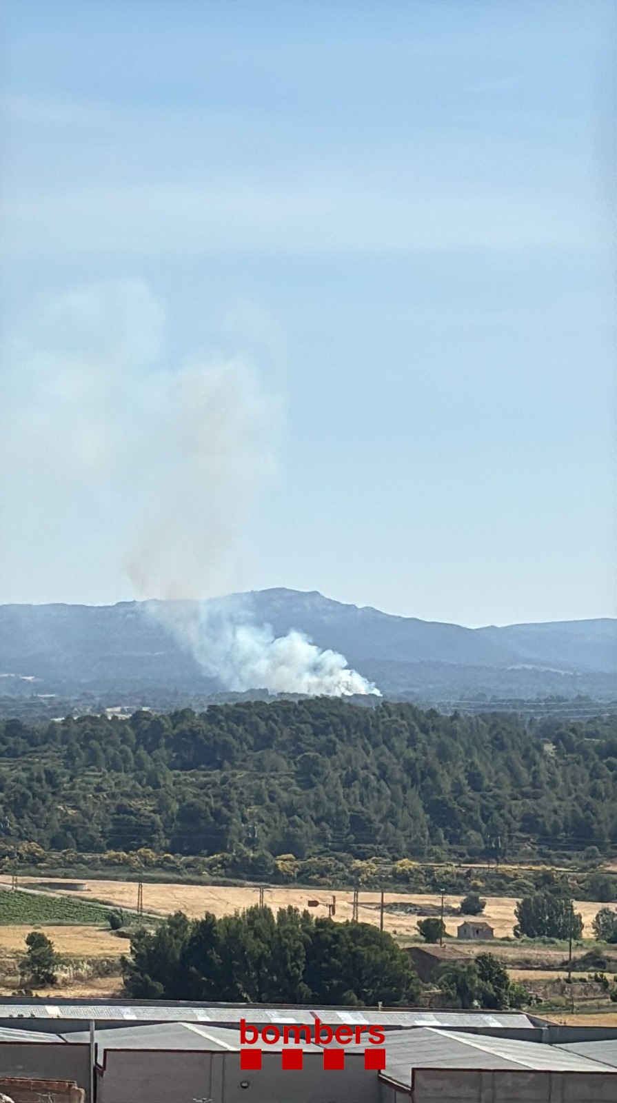 Controlado el incendio forestal en Barberà de la Conca