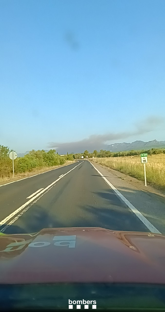 Un incendio forestal en La Sénia moviliza 22 dotaciones de bomberos